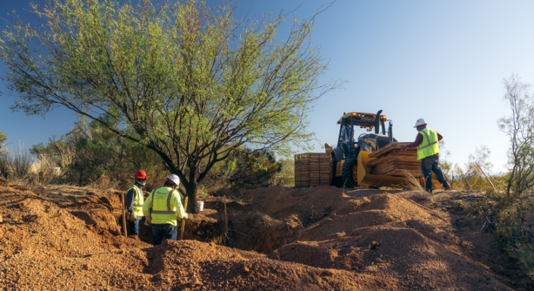 Tree Relocation Services - Native Resources