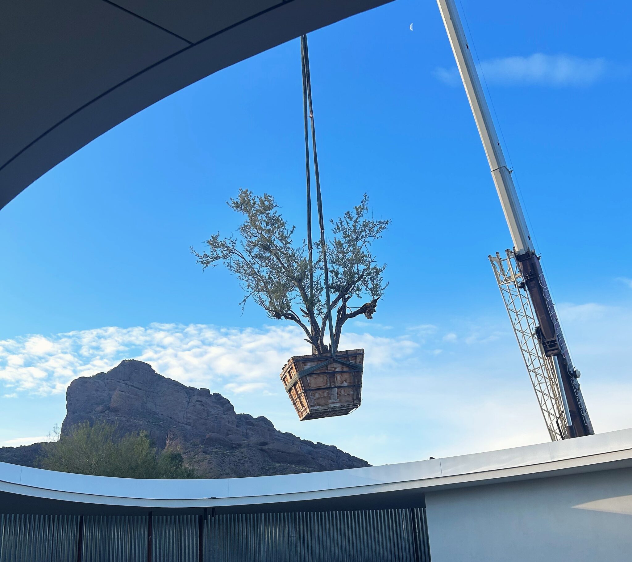 Tree Relocation Services - Native Resources