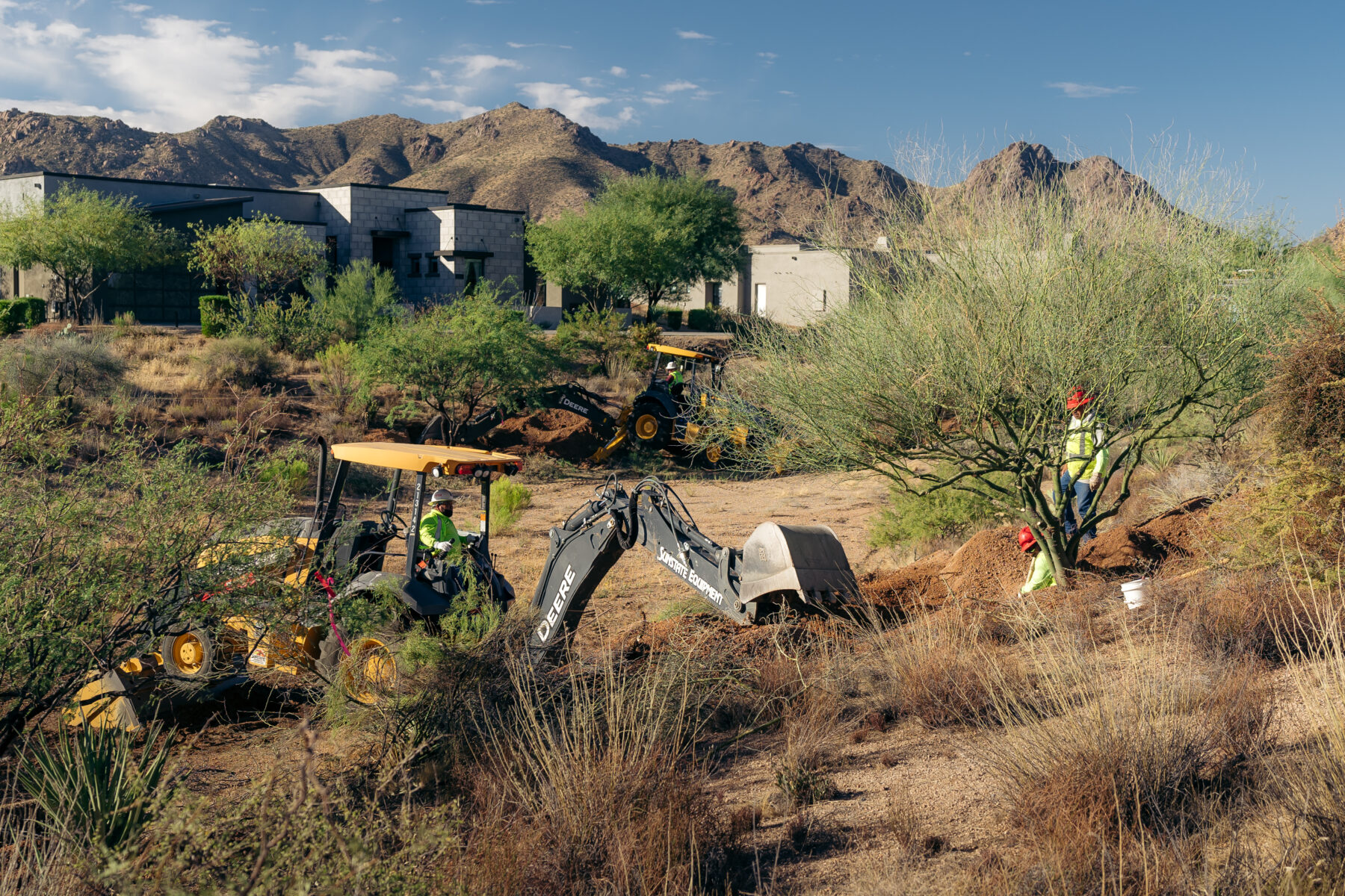 Tree Relocation Services - Native Resources